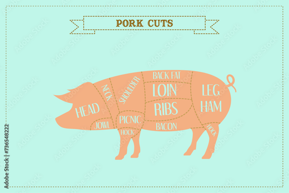 Color Guide to Butcher Diagrams for Cutting Pig Stock Vector | Adobe Stock