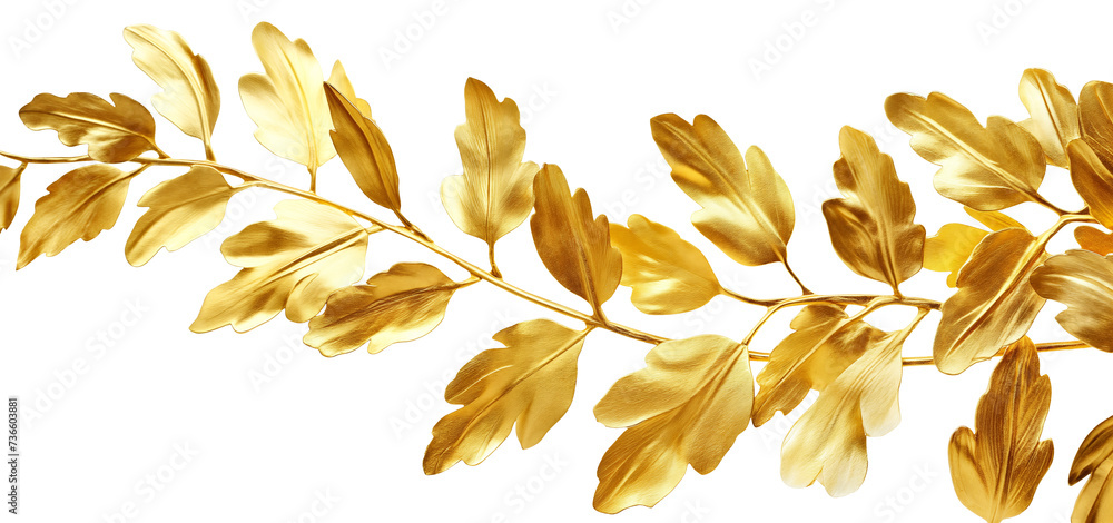 Gold branch leaves isolated on white transparent background. flat lay ...