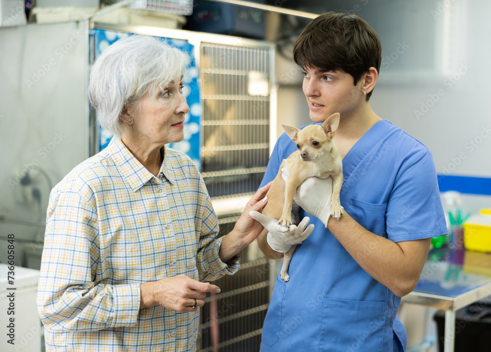 Guy professional veterinarian communicate with senior woman pet owner ...