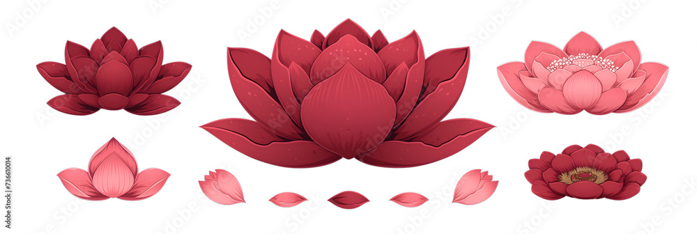 Сollection of stylized lotus flowers and petals in shades of pink and ...