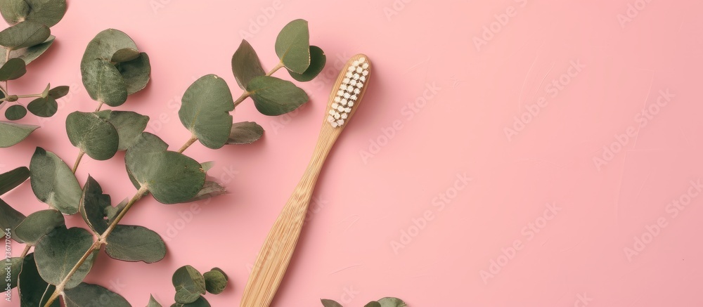 A twig made of wood resembling a toothbrush is elegantly displayed ...