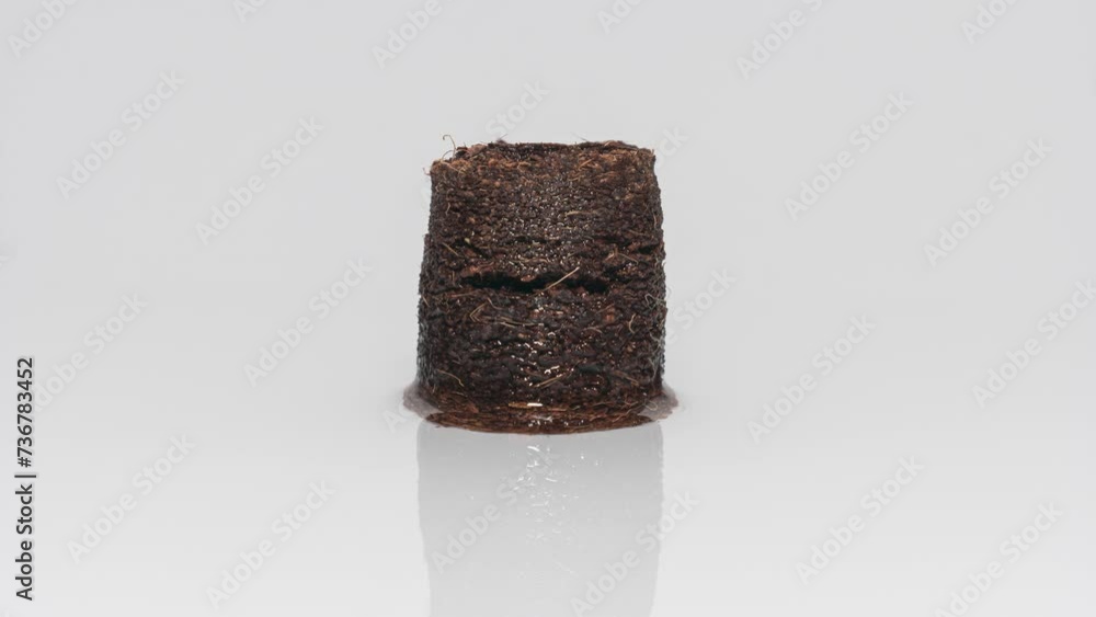 Vidéo Stock Coconut Peat Pellet Absorbing Water In Wet Surface And ...