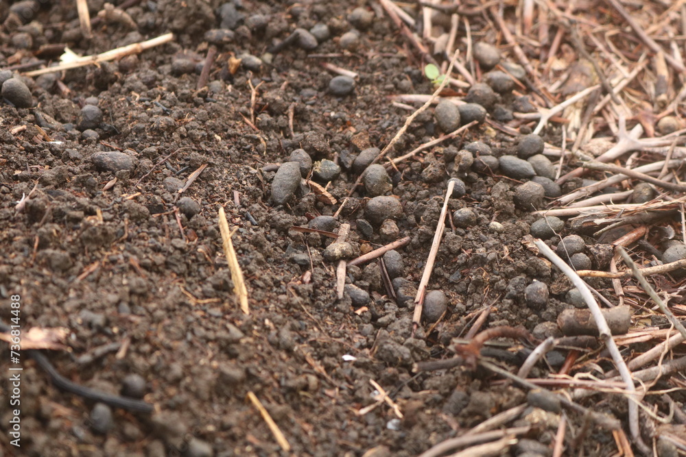 moist soil and tree growing in human hand, on bright green background ...