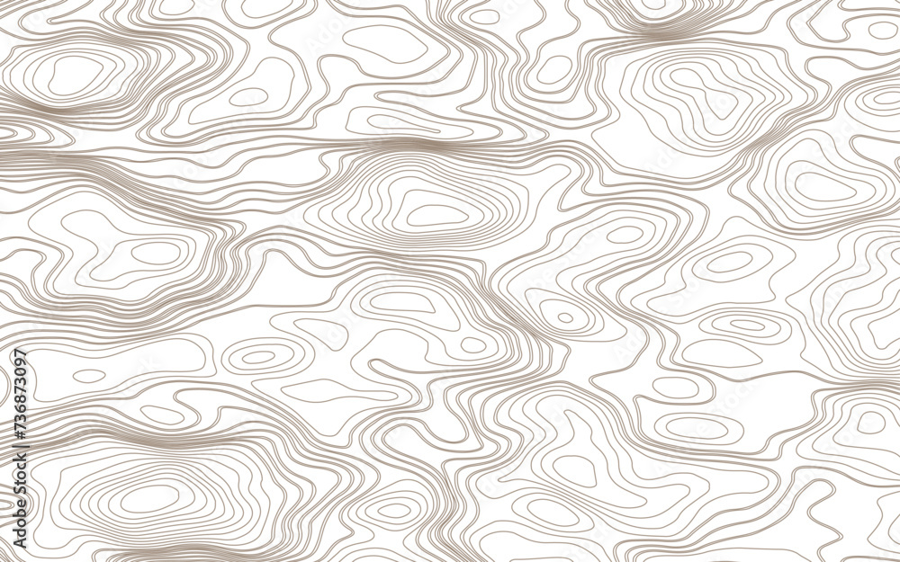 Topographic map background geographic line map with elevation ...