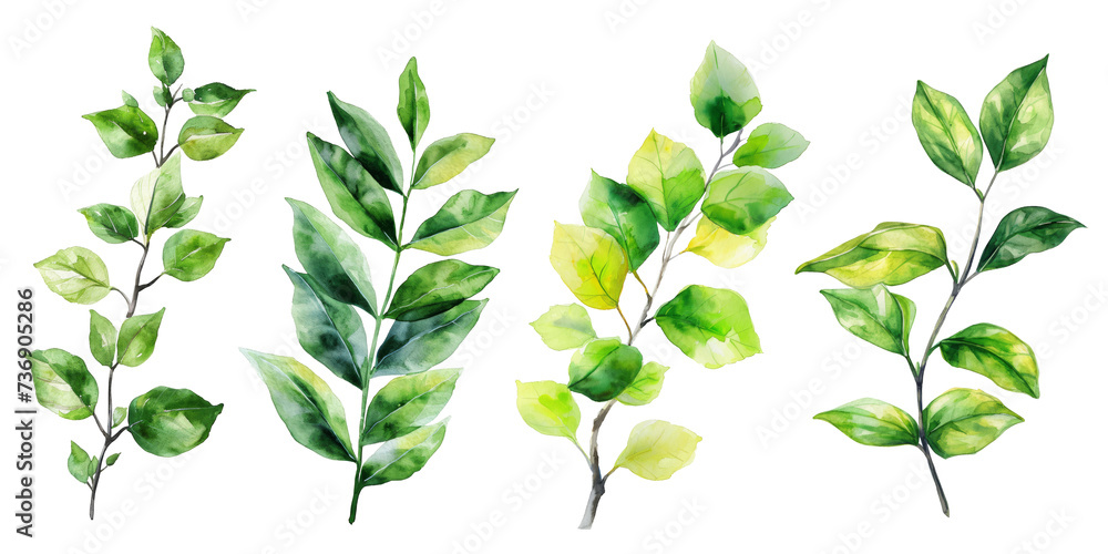 Set of Watercolor Tropical spring green leaves elements set isolated on ...