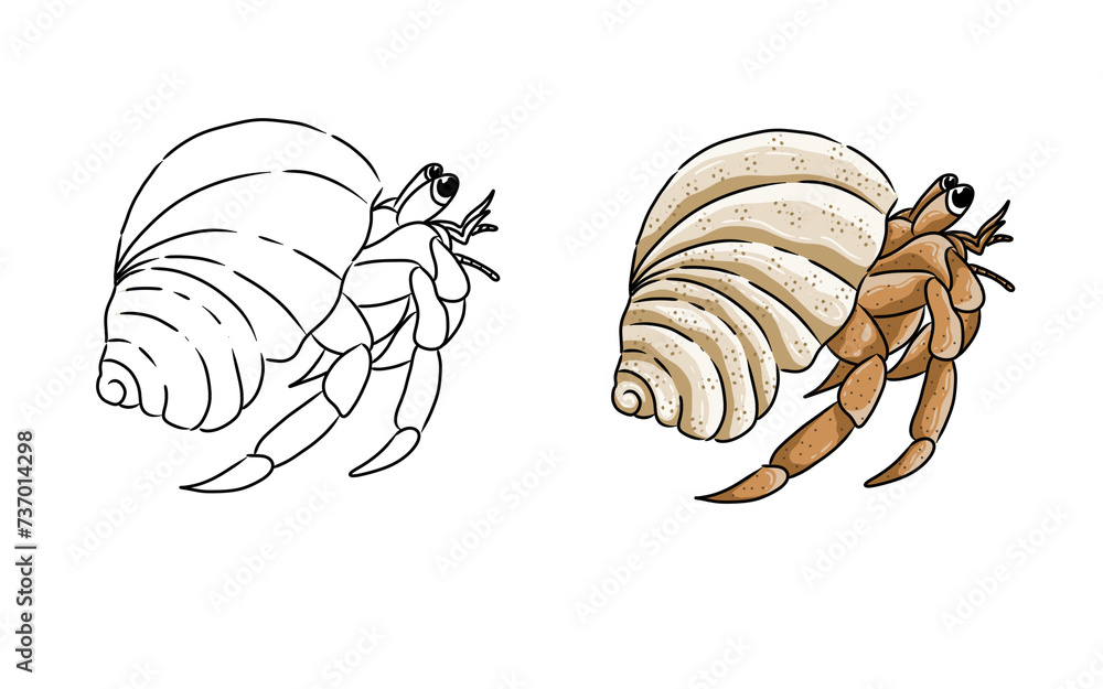 Image of a hermit crab. Hermit crab sketch. Can be used as a book illustration. Hermit crab ...