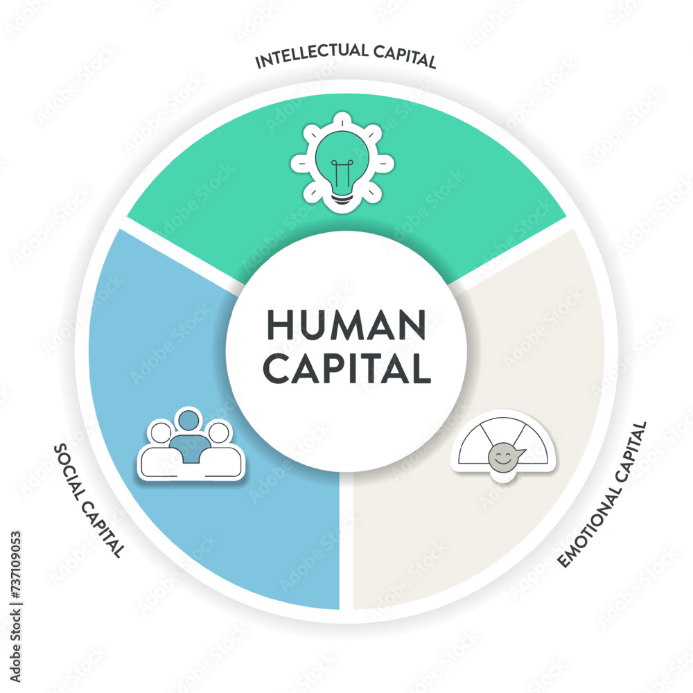 Human Capital, HC strategy framework infographics diagram chart ...