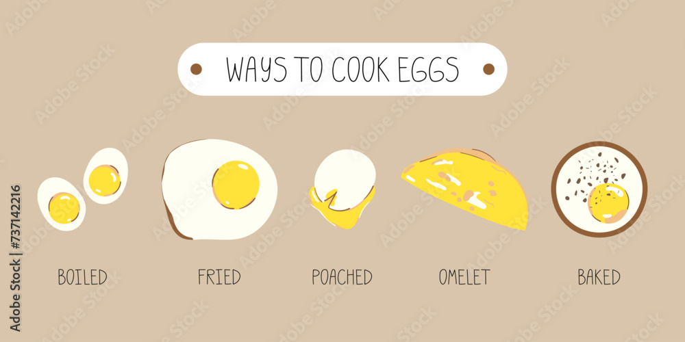 Boiled, fried, baked, poached eggs, and omelet hand drawn illustration. Ways to cook eggs ...