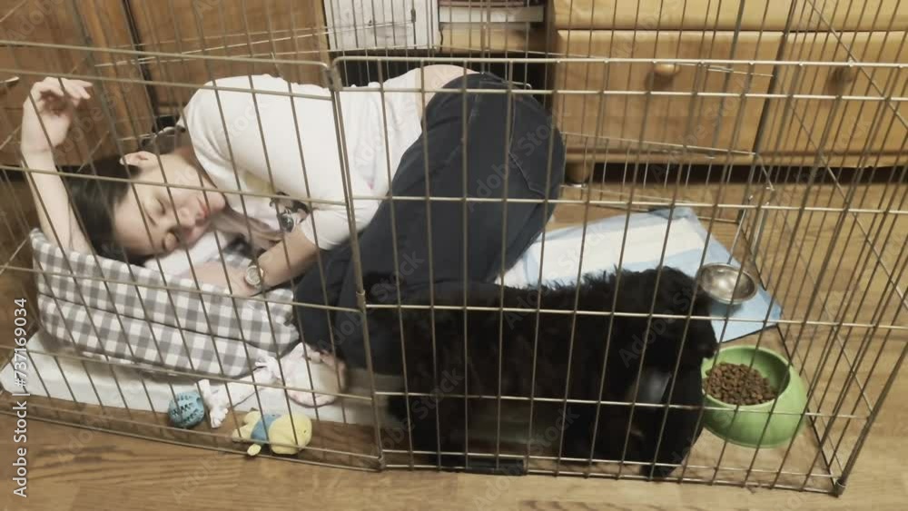 Tired human lying inside crate with black puppy eating food. Getting a ...