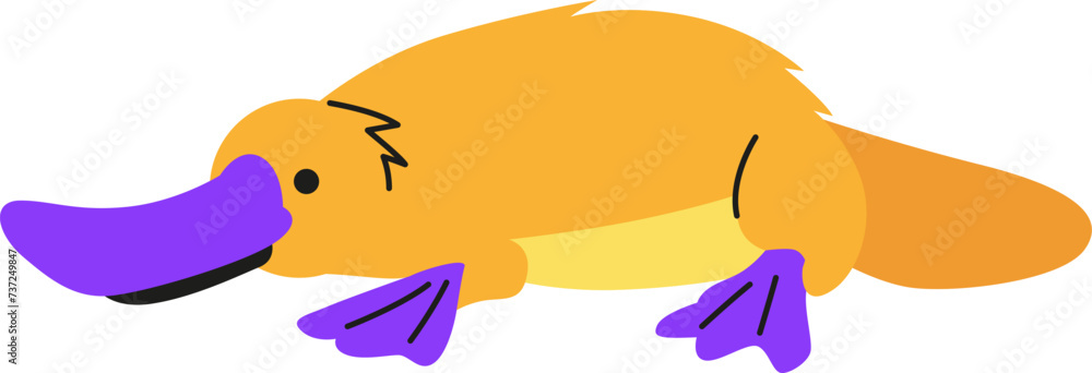 Australian platypus - modern flat design style single isolated image ...