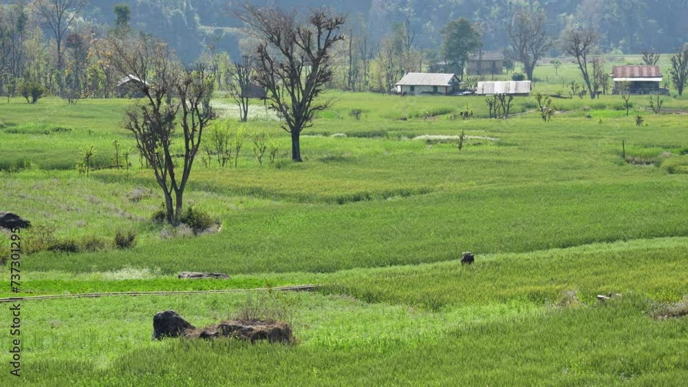 Discover the serene beauty of Surkhet Valley in Nepal, where rustic ...