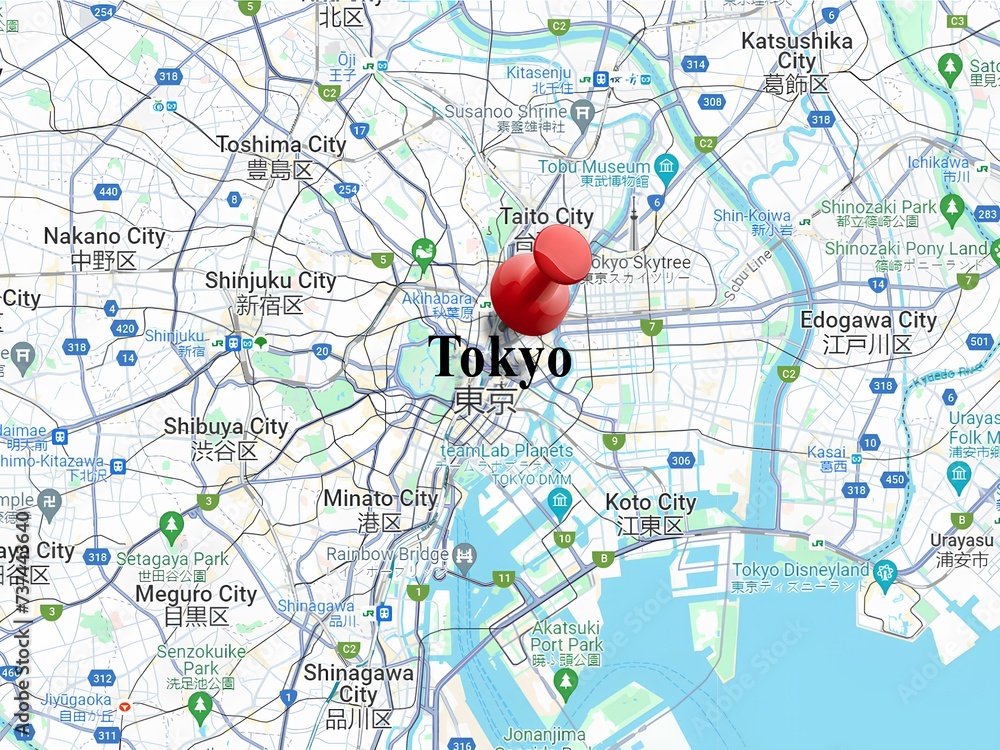 This is a clear and straightforward illustrated map of Tokyo, Japan. It ...