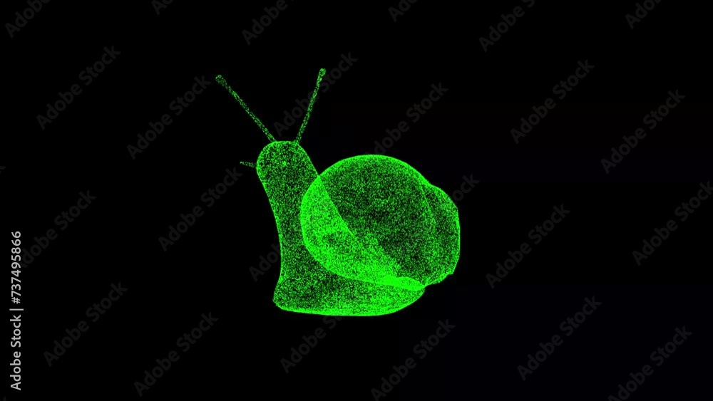 3D Snail rotates on black background. Fauna concept. Slow Snail ...