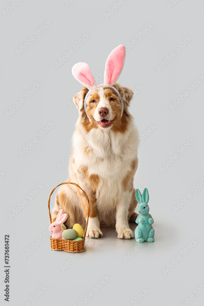 Cute Australian Shepherd dog in bunny ears with Easter eggs and toy ...