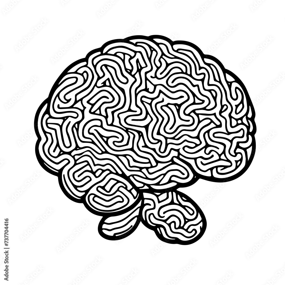 Vetor de Brain, Brain Anatomy, Brain Illustration, Brain network ...