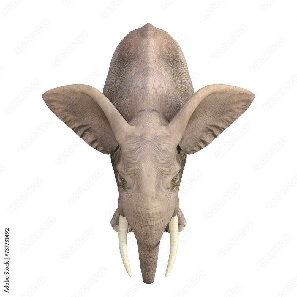 Elephant rendered in different poses and angles. 3D model, PNG. Stock ...