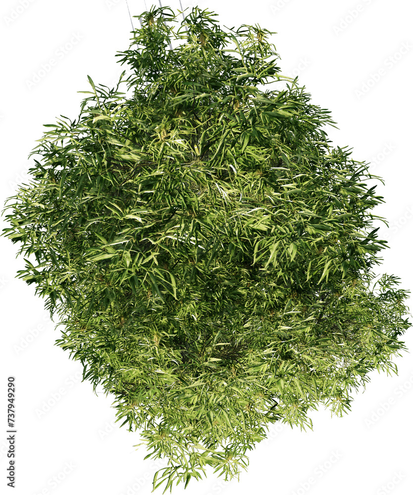 Realistic individual Trees top view for landscape plan isolated white ...