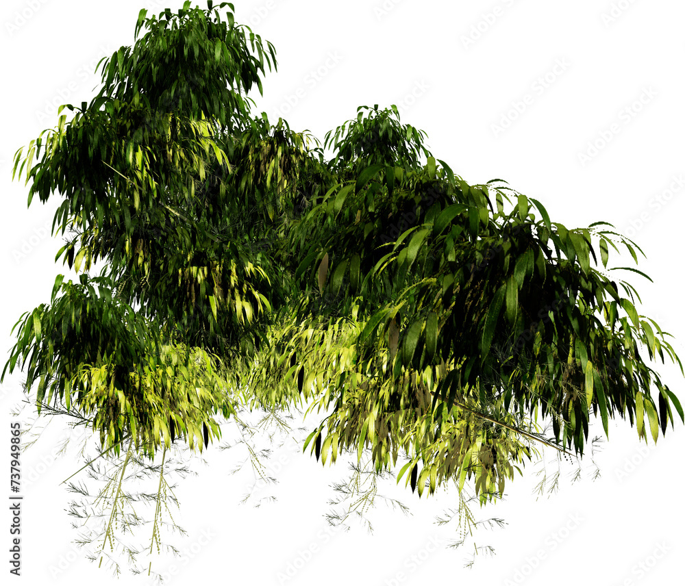 Realistic individual Trees top view for landscape plan isolated white ...