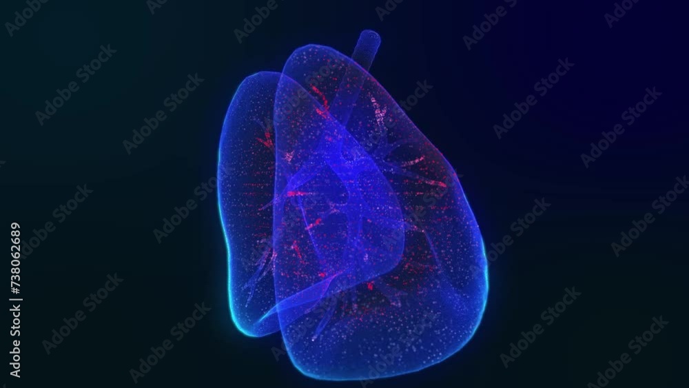 Human lungs. Blue light dot and lines formation human lungs model ...