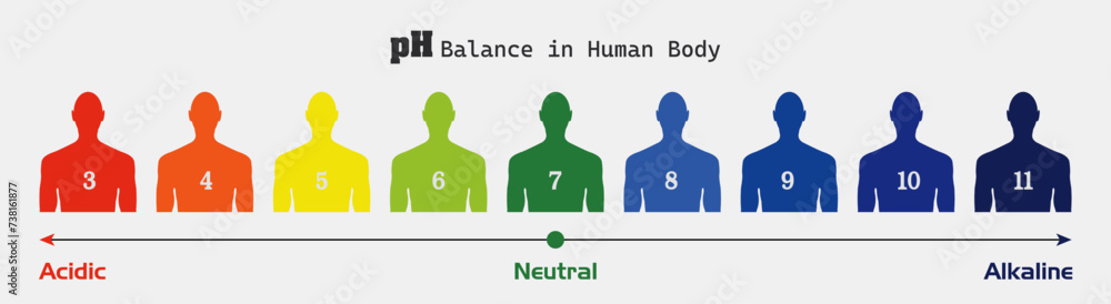 The PH balance scale chart in a human body, showing sickness and health ...