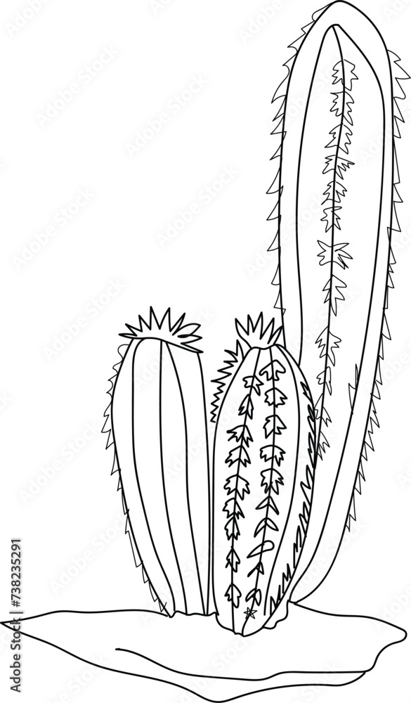 flower cactus drawing, barrel cactus flower drawing, pencil cactus ...