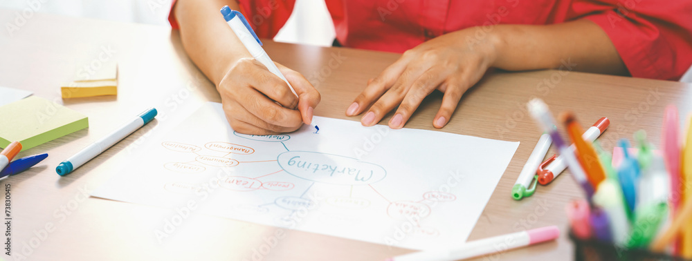 Professional businesswoman drawing business mind map. Creative female ...