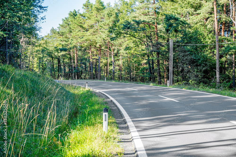 Two-lane asphalt road with white markings in the forest. Asphalt pavement. Road white markings ...