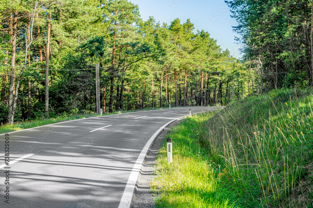 Two-lane asphalt road with white markings in the forest. Asphalt pavement. Road white markings ...