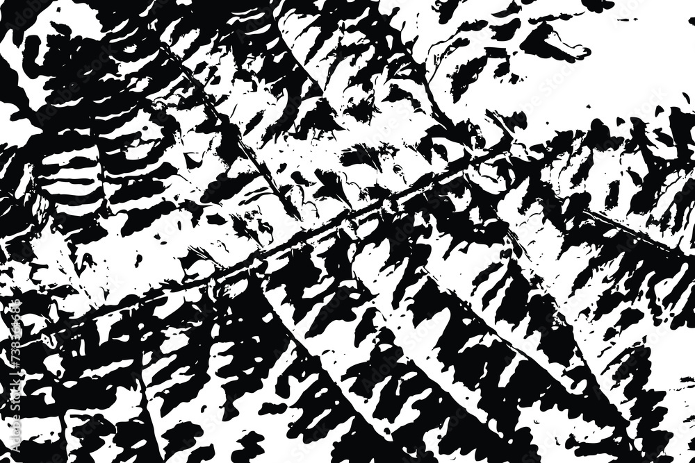 Vector trace of Green Fern, leaf pattern ferns. Texture of tropical ...