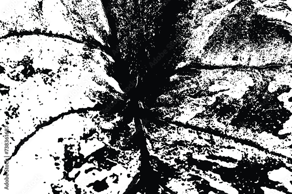 Vector trace of Caladium plant, leaf pattern ferns. Texture of tropical ...