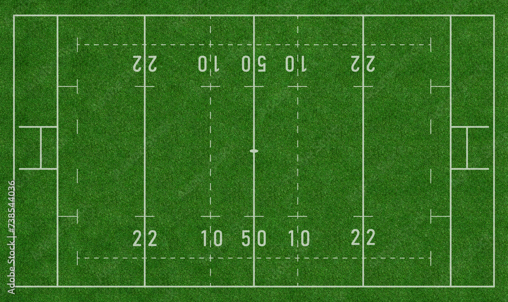 Green Rugby Field or Rugby Union Football Field Top View with Realistic ...