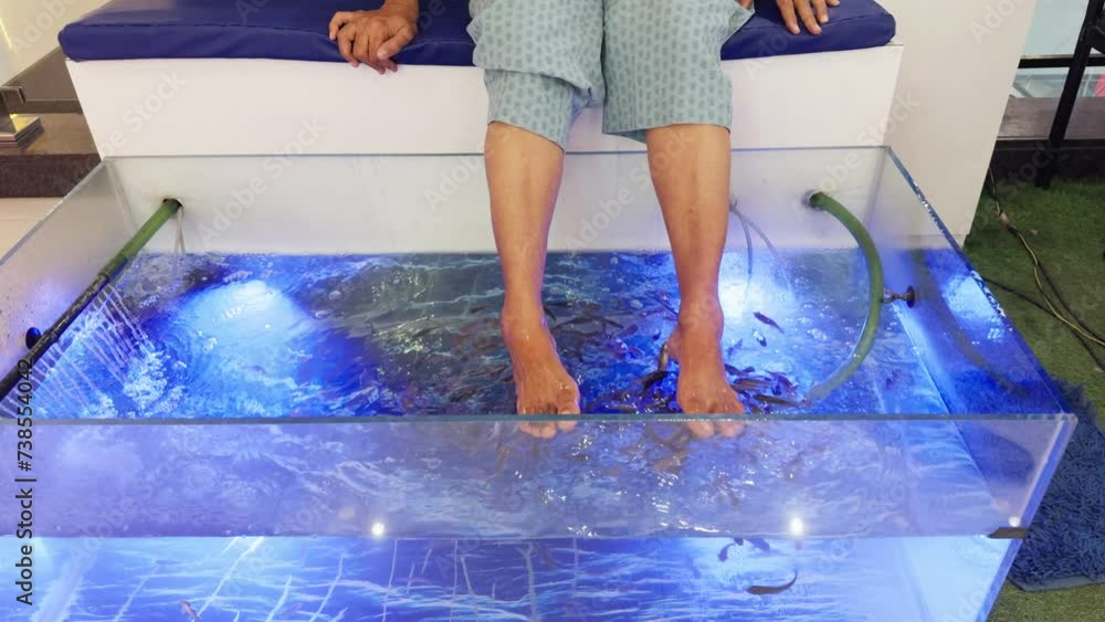 women receiving a fish pedicure therapy with small fish nibbling at ...