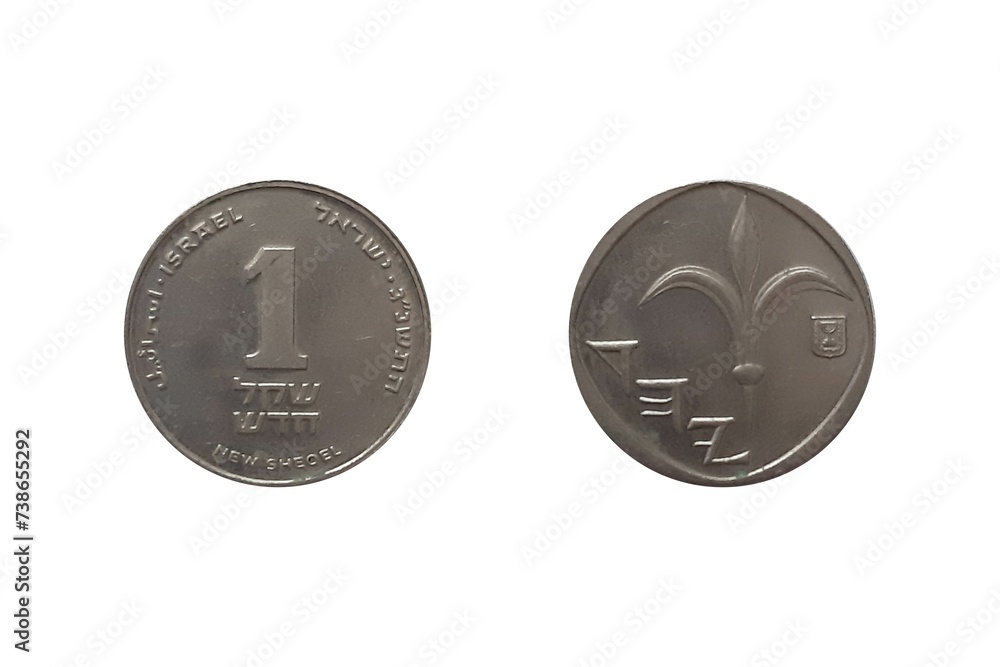 One new Israeli shekel coin isolated on white background 1993. Obverse ...