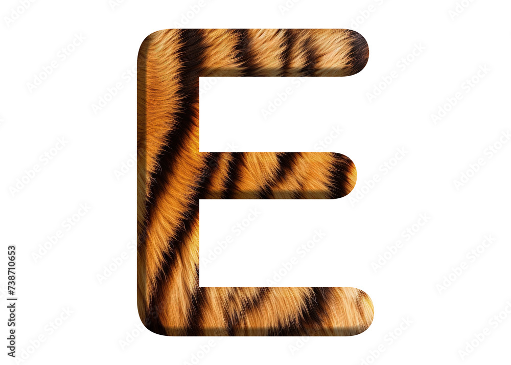 Letter E shape made of tiger fur or tiger skin, isolated on PNG ...