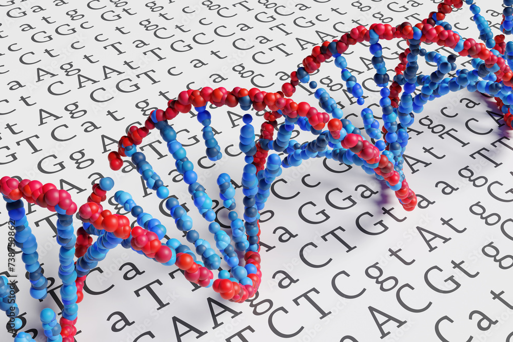 Red helix of strands of nucleotides connected by blue hydrogen bonds on ...