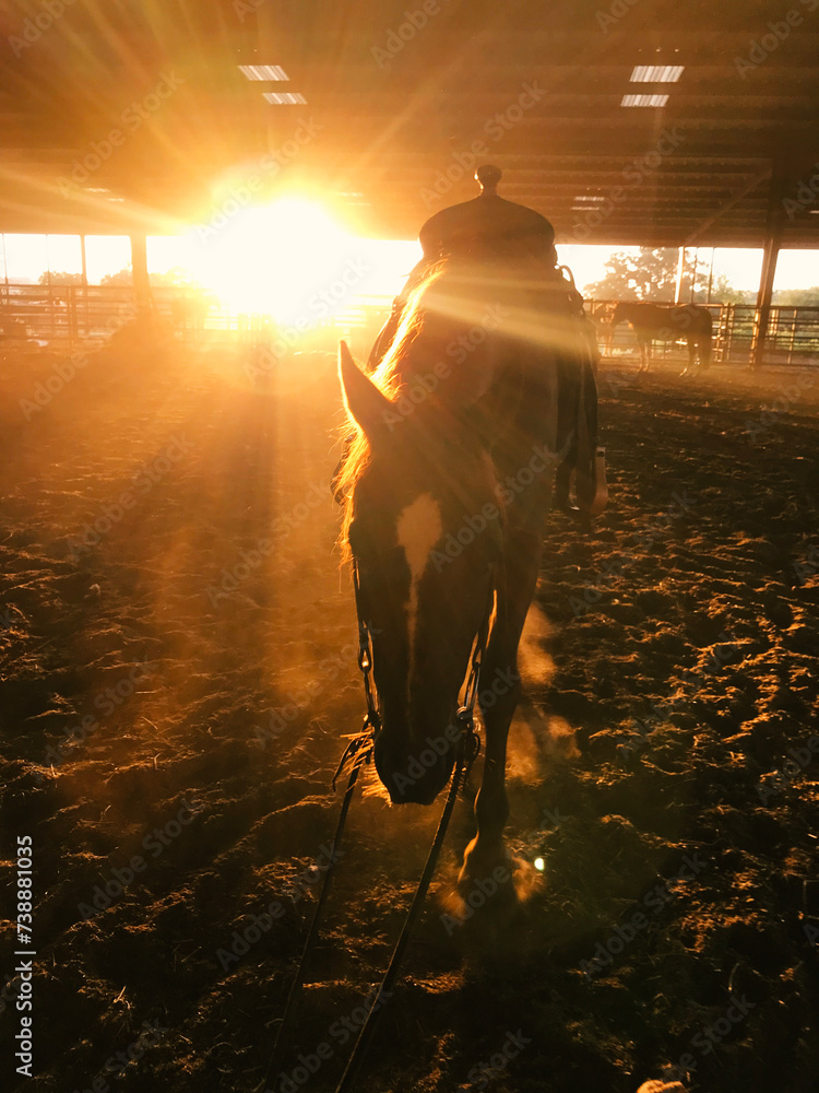 Horse under saddle inside indoor arena on ranch for horseback riding ...