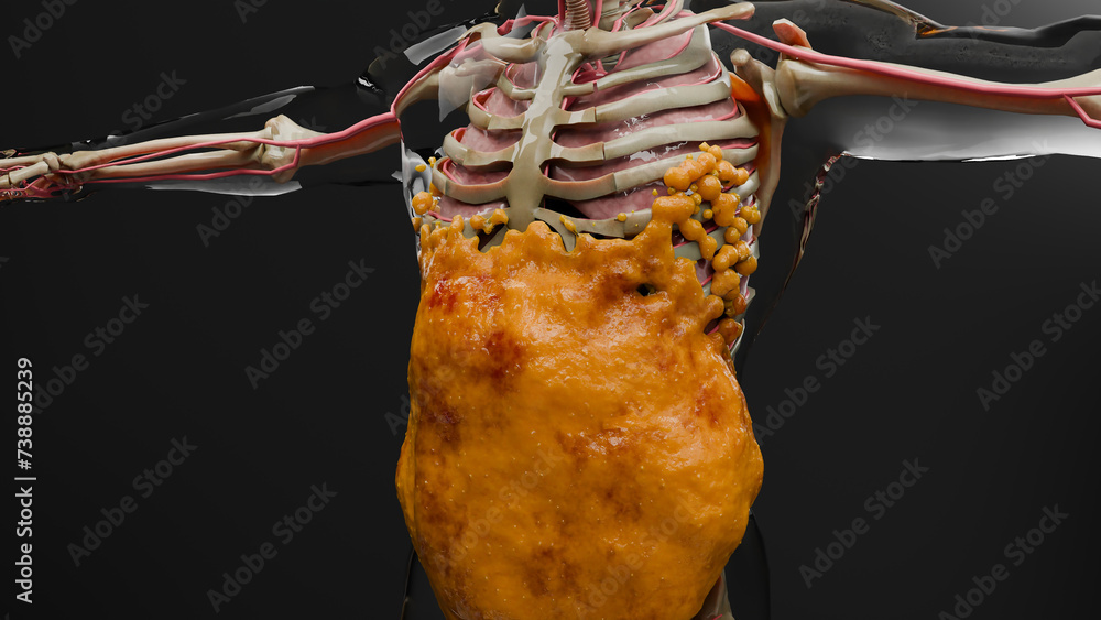 Weight loss Comparison. man body transformation. Before and after a ...