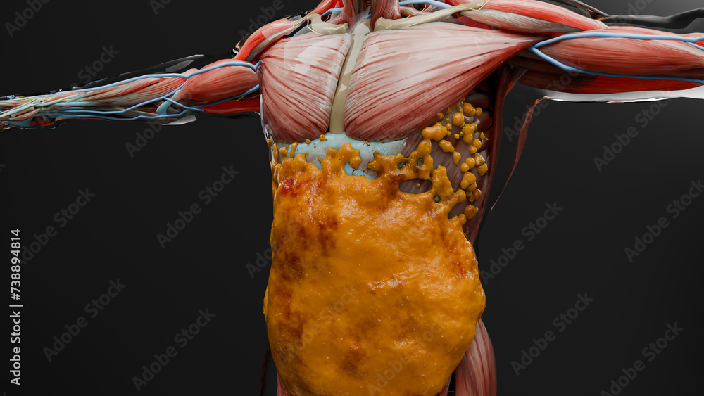 Weight loss Comparison. man body transformation. Before and after a ...