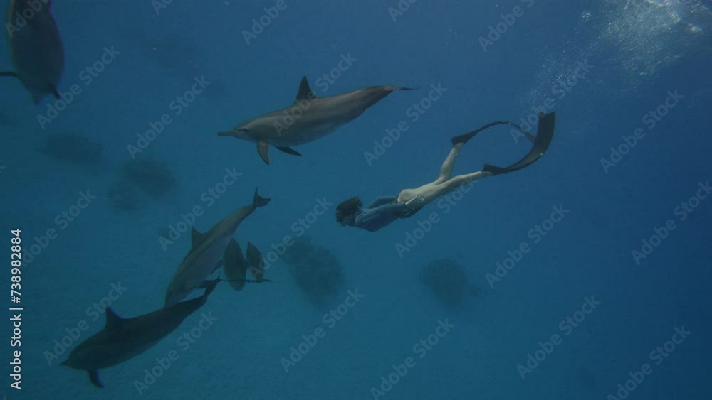 Experienced woman freediver swimming deep underwater with dolphins in ...