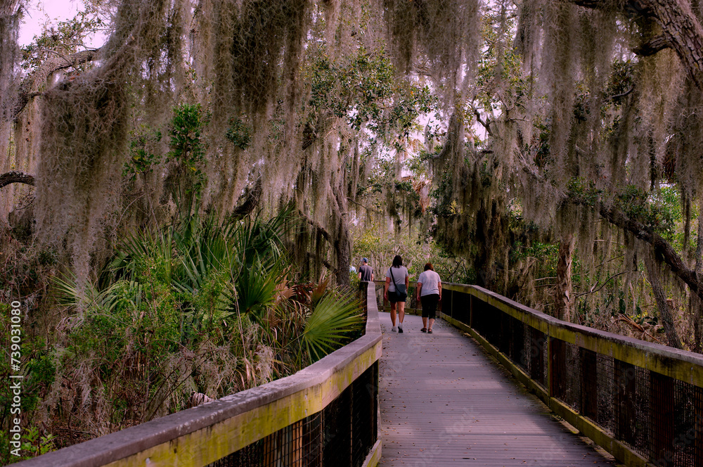 Boca Ciega Millennium Park flat wood boardwalk in Seminole, Florida ...