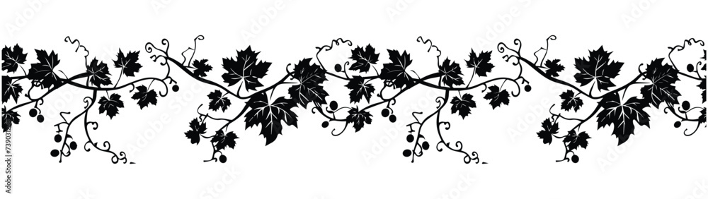 silhouette of grape vines leaf on transparent background. continuous ...
