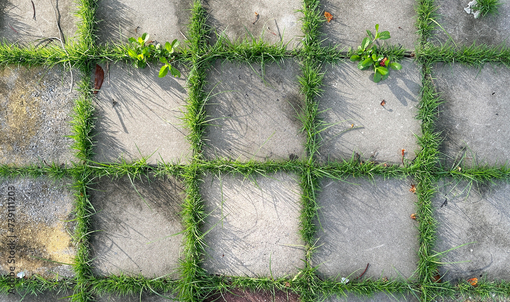 Top view square block cement concrete green grass pattern parking ...