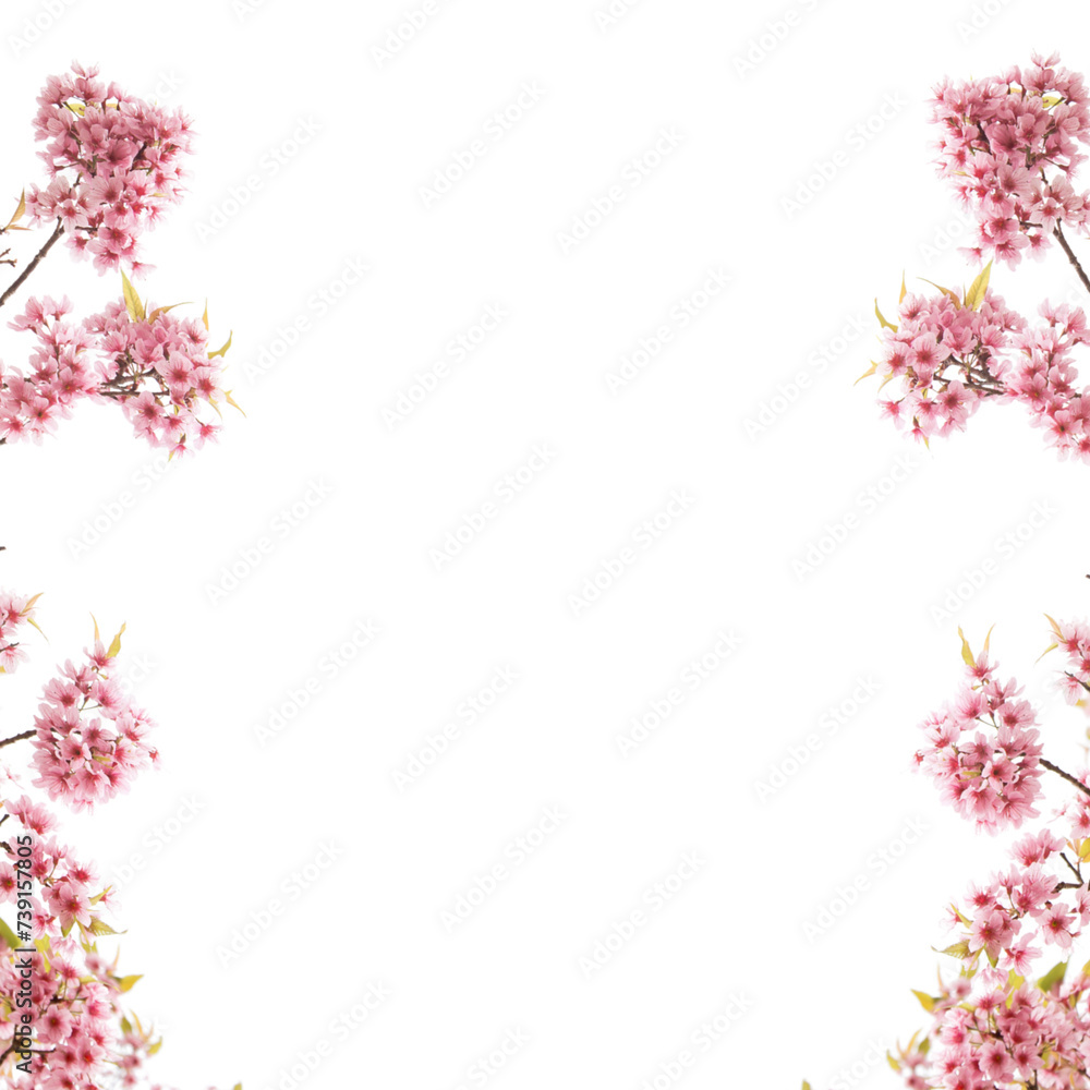 pink flowers border frame isolated on white background Stock Photo ...