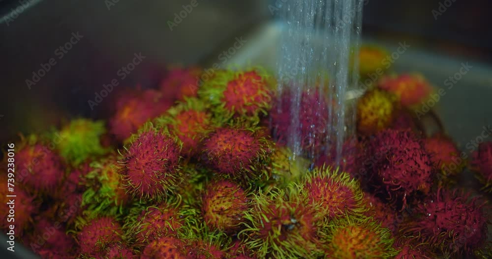 Cascading water over a sink full of vivid rambutans, showcasing the ...