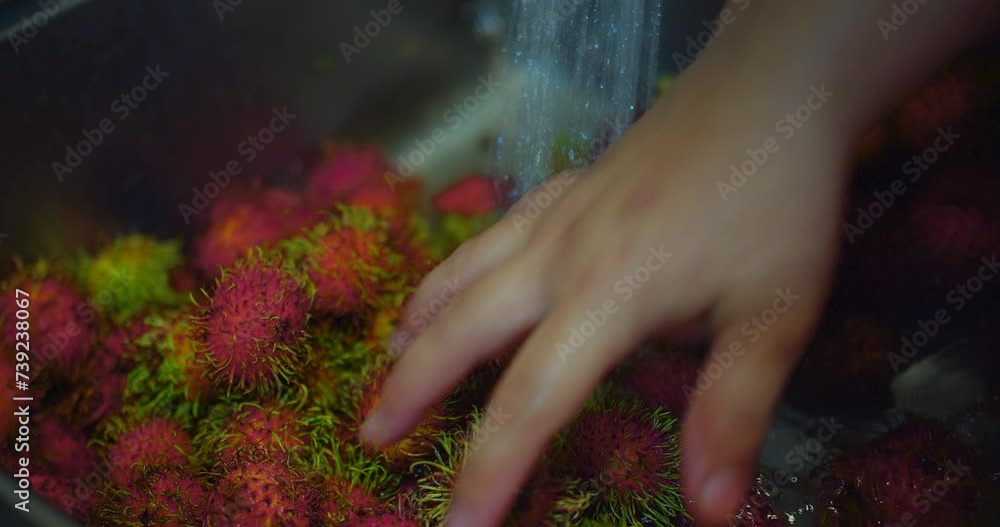 Vidéo Stock Cascading water over a sink full of vivid rambutans ...