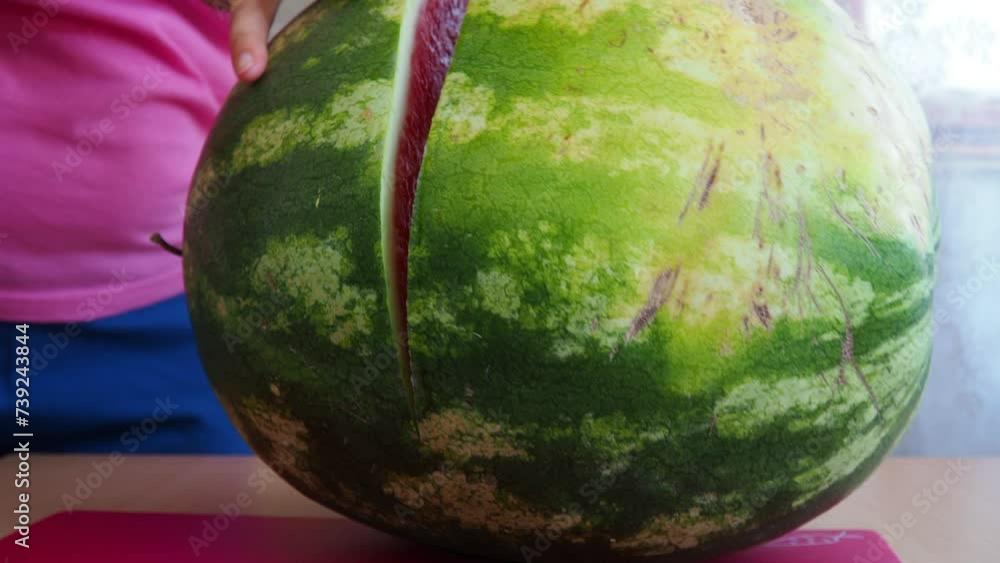 Vidéo Stock Female hands cutting fresh juicy watermelon slices ...
