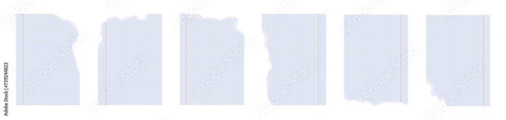 Set of torn paper snippets. Red margin line on a checkered notebook ...