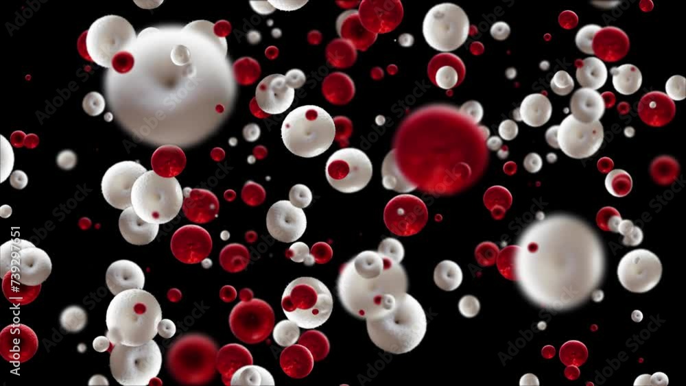 White Blood And Red Blood Cell Floating Animation On Black Background ...