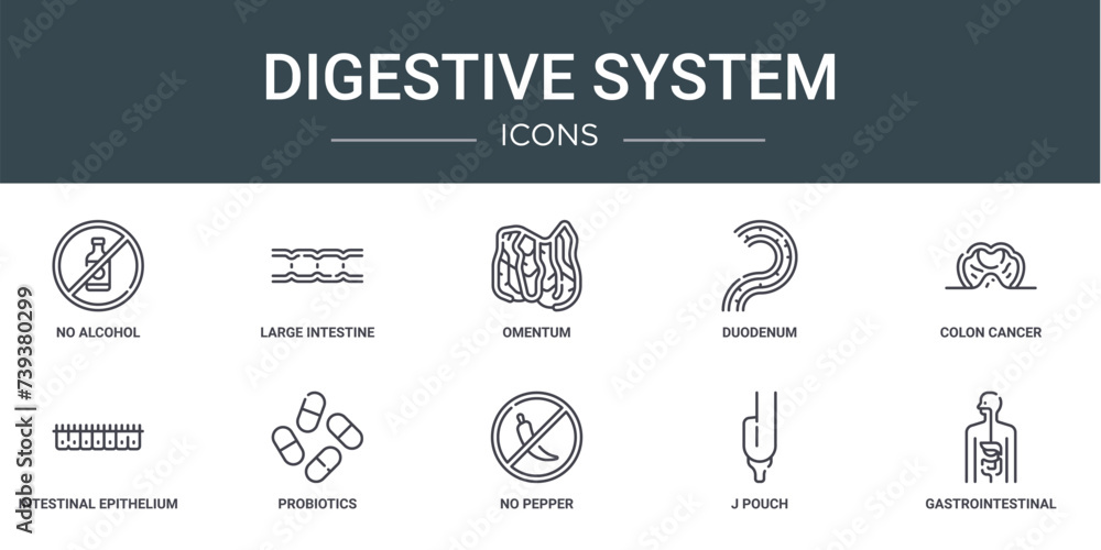 Vetor do Stock: set of 10 outline web digestive system icons such as no ...