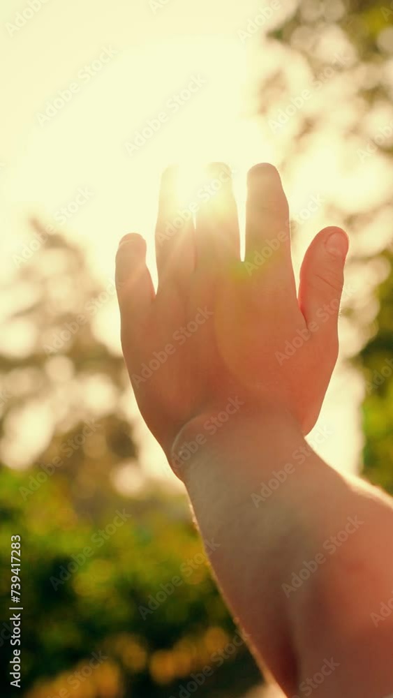 Sunlight in hands of child, nature. Happy child boy raises her hands to ...